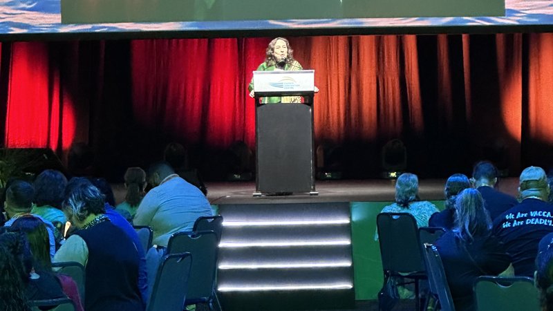 Chief Children's Commissioner Judge Frances Eivers speaks in Darwin ...