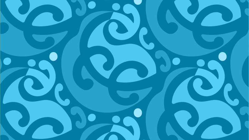 July 17 Statement from Chief Children's Commissioner | Mana Mokopuna